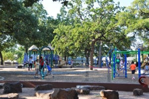 Project Playback: Plantings and Playscapes at Patterson Park