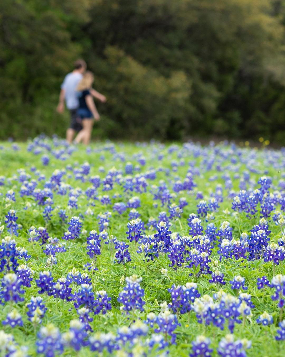 11 Tips for Taking Bluebonnet Photos | Austin Parks Foundation